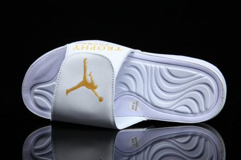 Nike Jordan Hydro 6 jointly signed platinum men Sandal Slides Slippers ...