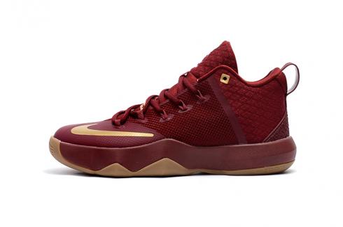Nike Ambassador IX 9 Lebron Jame Marroon Golden Men Basketball Shoes ...
