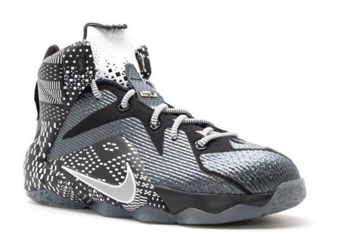 Nike Lebron 12 Bhm Gs White Black Silver Metallic 726217-001 - Zoom ...