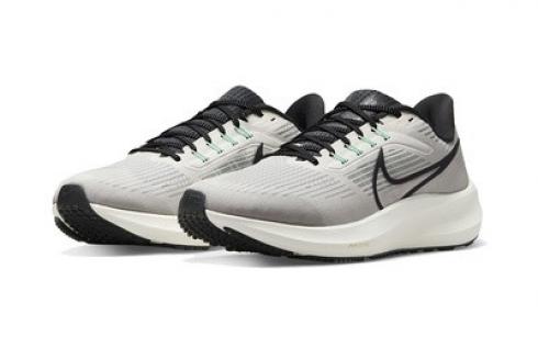 Nike Air Zoom Pegasus 39 Phantom Mint Foam Dark Smoke Grey DH4071-004 ...