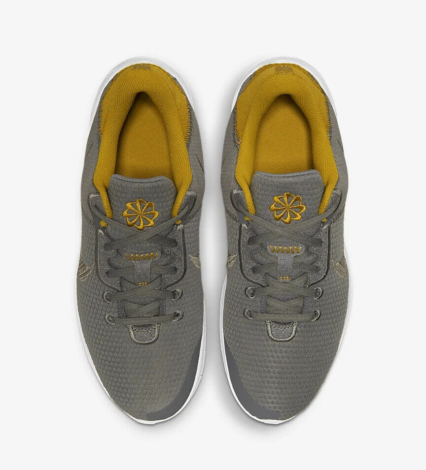 Nike Flex Experience Run 11 Next Nature Flat Pewter Gold DD9284-009 ...