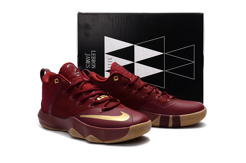 Nike Ambassador IX 9 Lebron Jame Marroon Golden Men Basketball Shoes ...